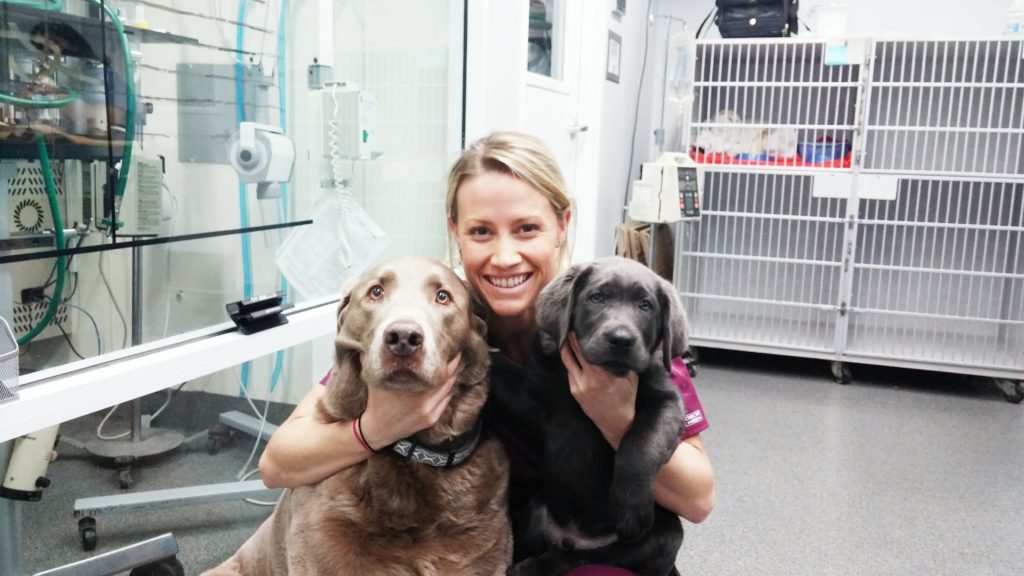 Photo Gallery - Vets and Pets of Lake Forest Animal Clinic