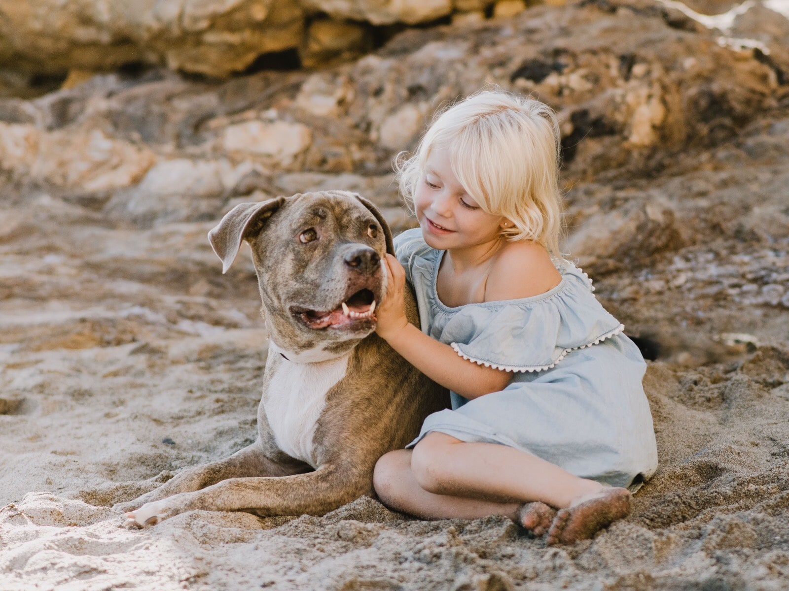 Photo Gallery - Vets and Pets of Lake Forest Animal Clinic