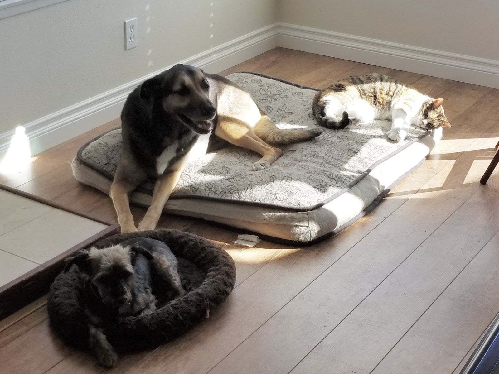 Photo Gallery - Vets and Pets of Lake Forest Animal Clinic